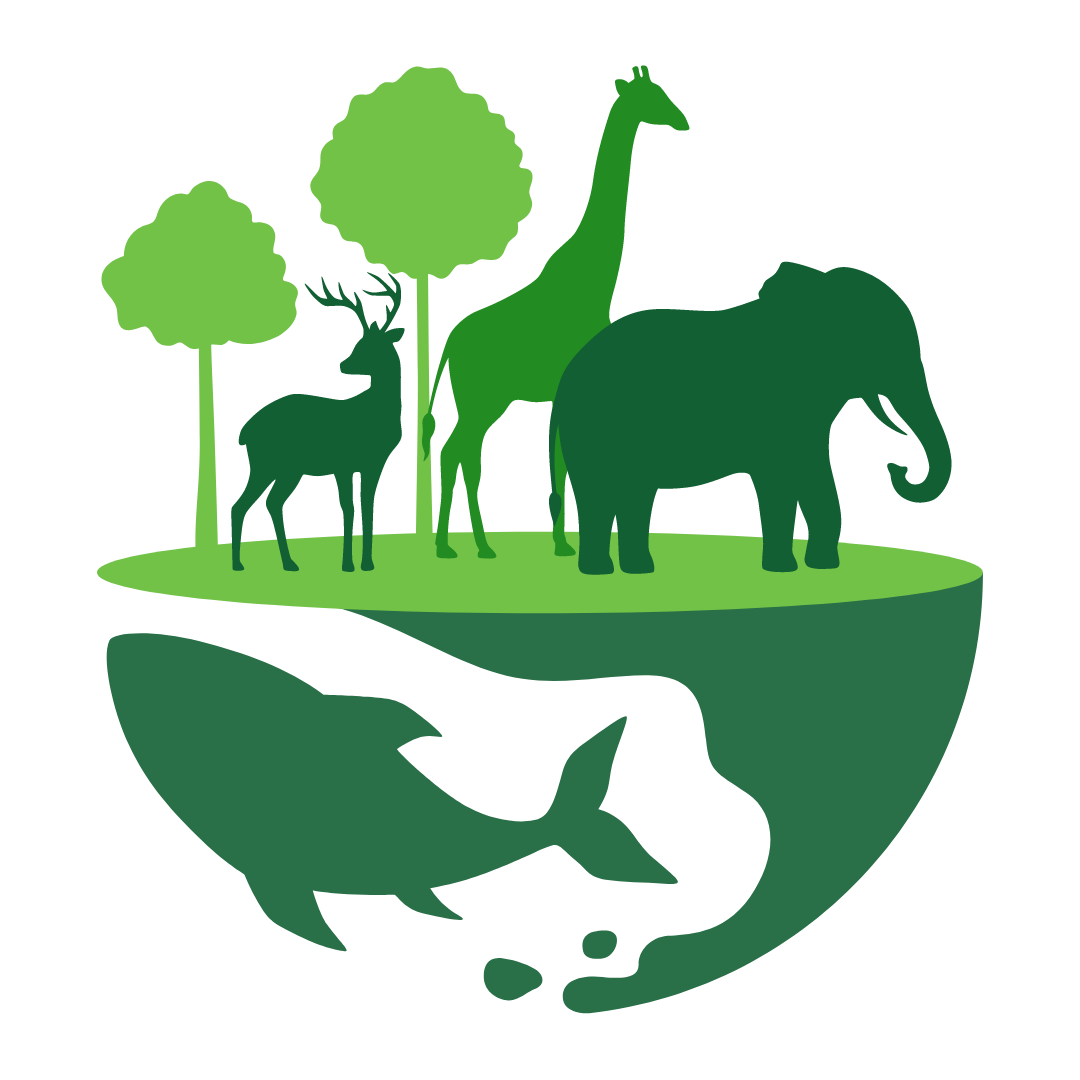 The Eco Company, Green Steps For Sustainability Tomorrow